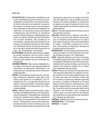 Diccionario de anatomía | PDF