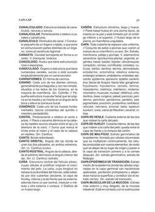 Diccionario de anatomía | PDF
