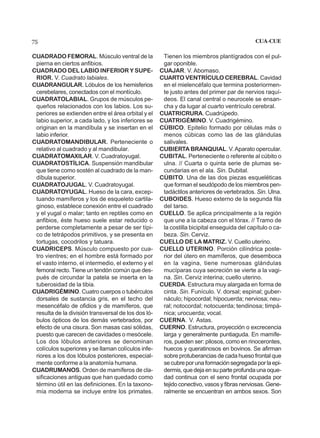 Diccionario de anatomía | PDF