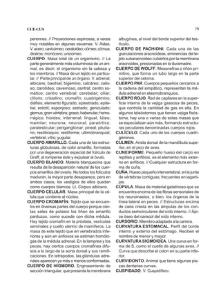Diccionario de anatomía | PDF