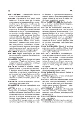 Diccionario de anatomía | PDF