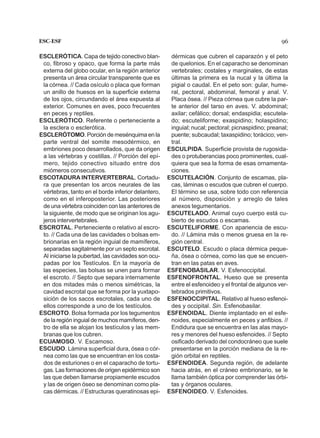 Diccionario de anatomía | PDF