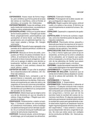 Diccionario de anatomía | PDF