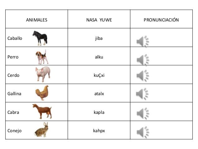 Diccionario nasa yuwe