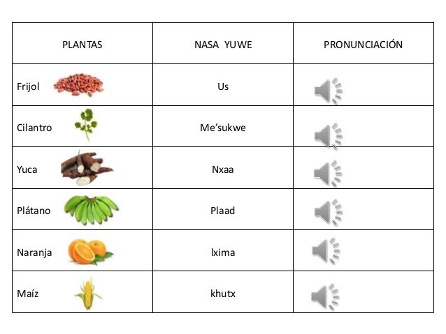 Diccionario nasa yuwe