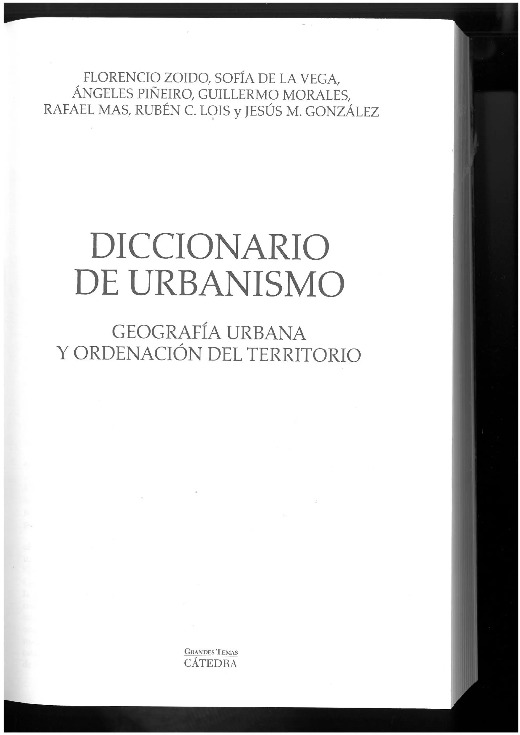 DICCIONARIO URBANISMO.pdf