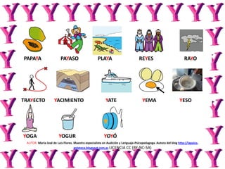 Diccionario visual ortográfico ll y | PDF