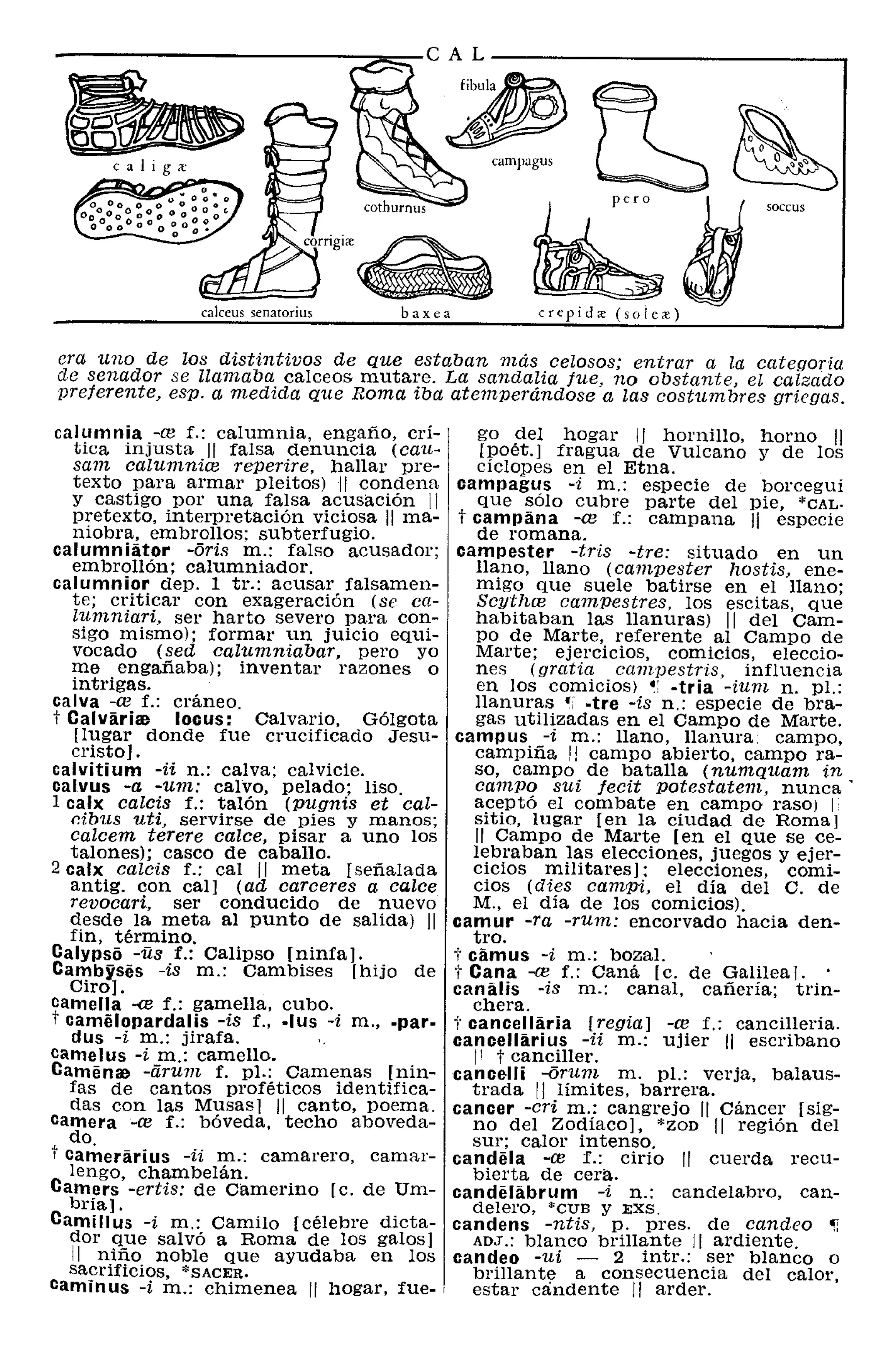 Diccionario vox latin | PDF