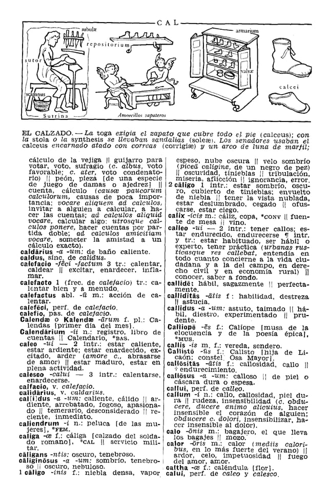 Diccionario vox latin | PDF