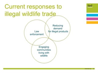 Engaging communities in combating illegal wildlife trade - risks ...