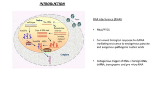 Dicer functions in RNA interference and in synthesis.pptx