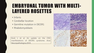 Dicer mutation in tumors | PPTX