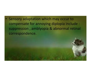 Dichoptic stimulation | PPTX