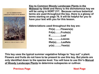 Dichotomous Key 1 | PPS