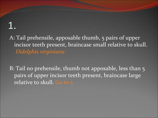 Dichotomous Key | PPT