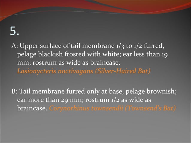 Dichotomous Key | PPT