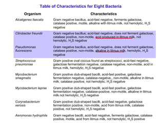 Corynebacterium Xerosis Gram Stain