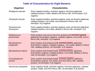Corynebacterium Xerosis Acid Fast