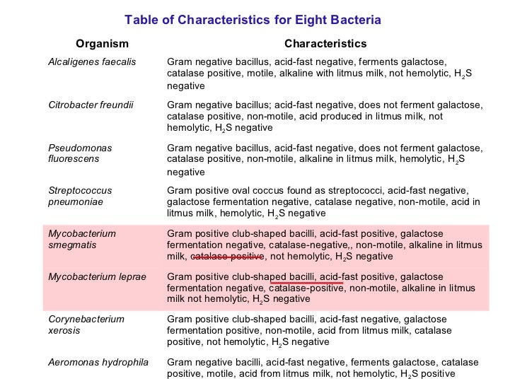 Alcaligenes Faecalis Identification