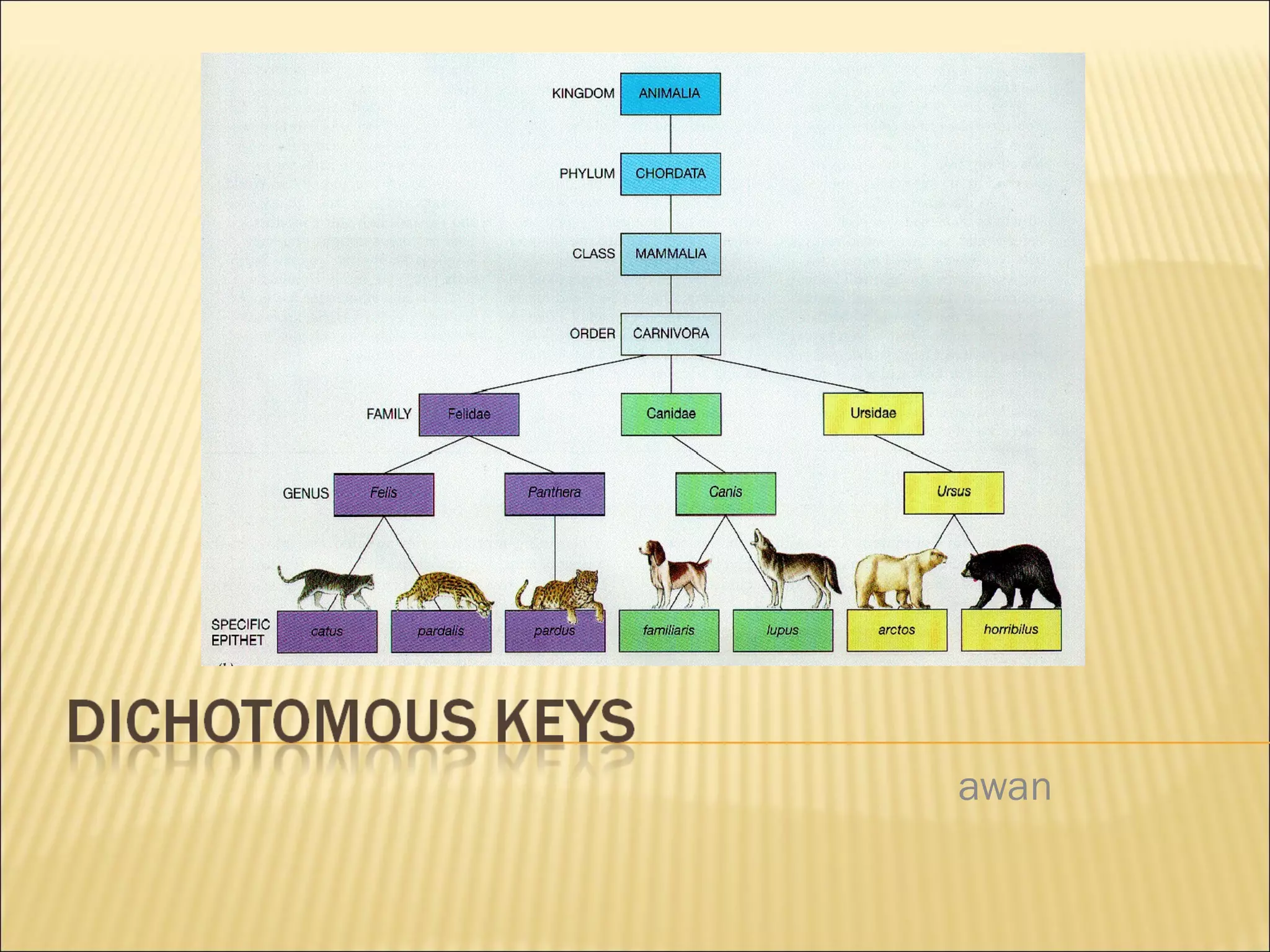 Grade 7 - Dichotomous Keys | PPT