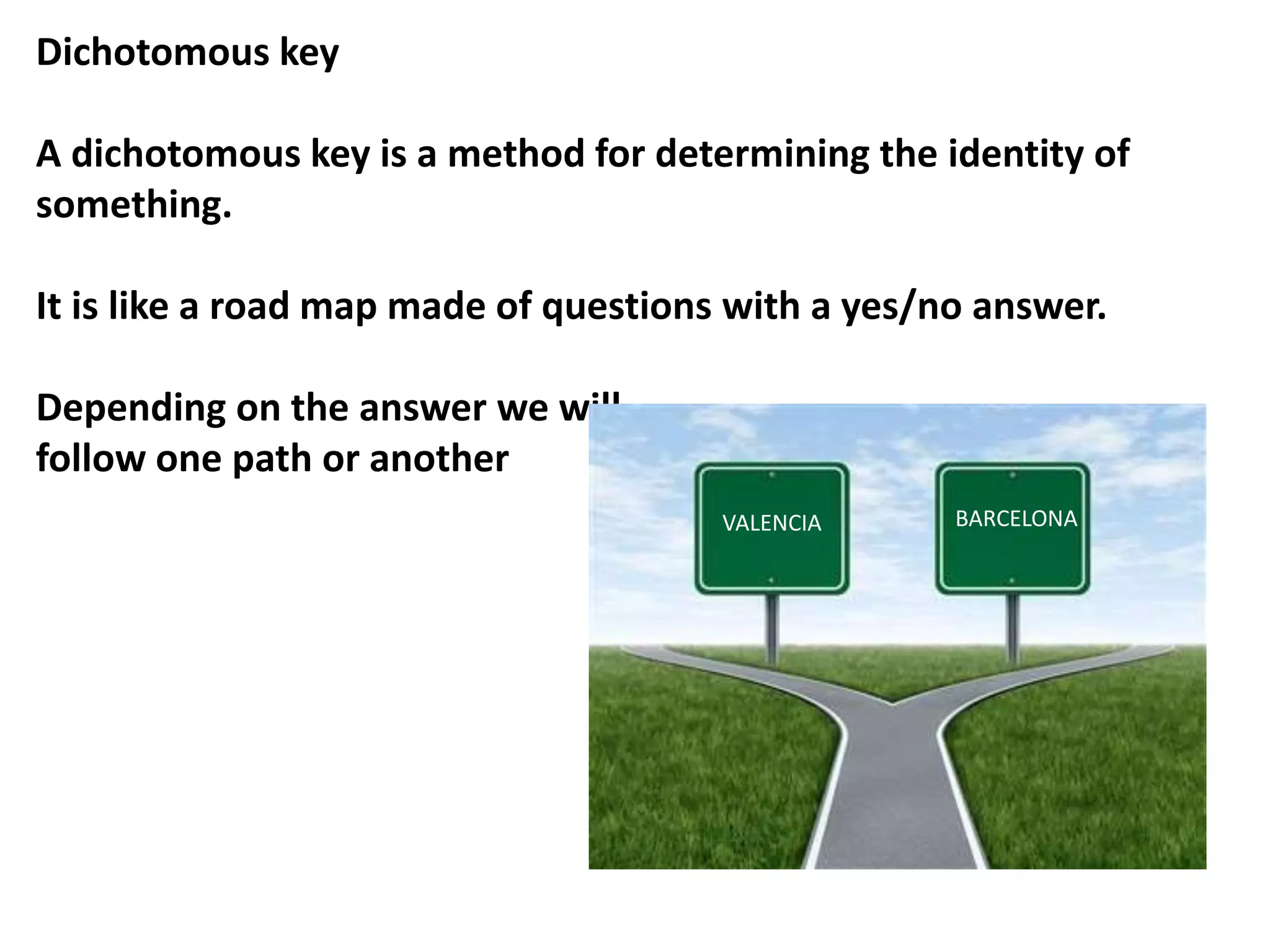 Dichotomous key | PPTX