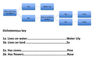 Dichotomous key | PPTX