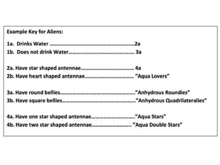 Dichotomous Key Examples 7th Grade