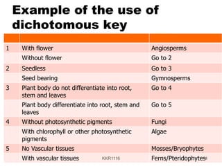 Dichotomous key | PPTX