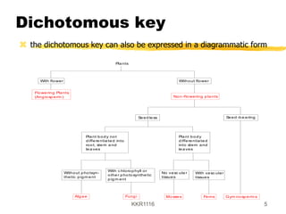 Dichotomous key | PPTX