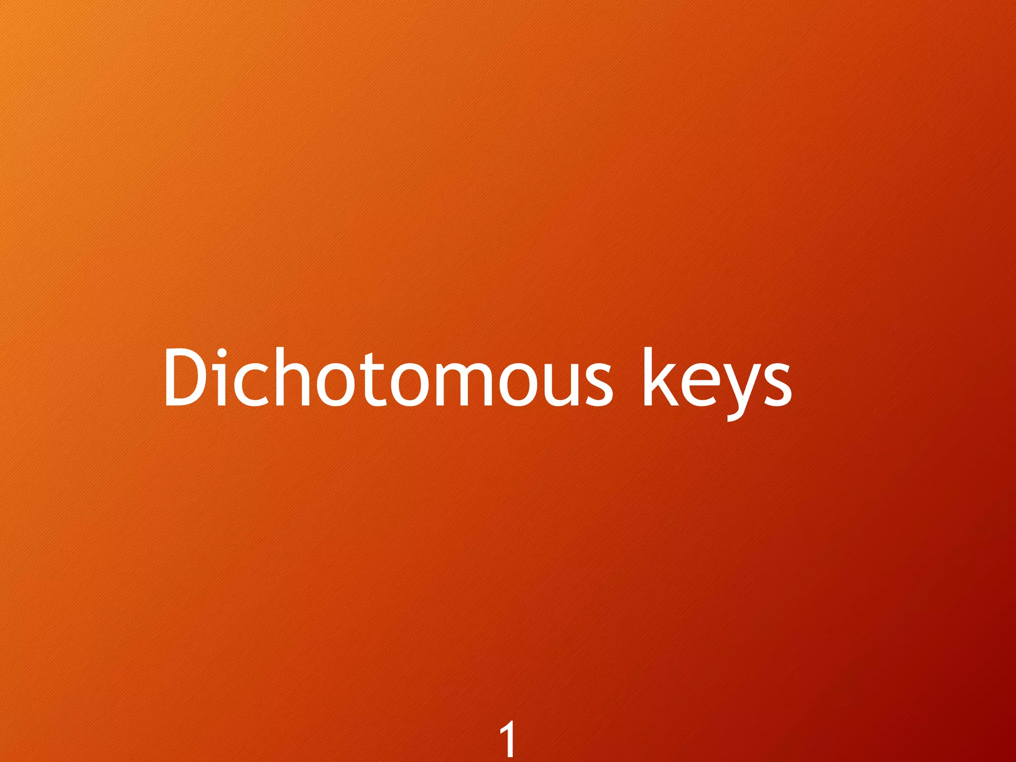 Dichotomous key.pptx