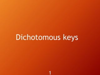 Dichotomous key.pptx
