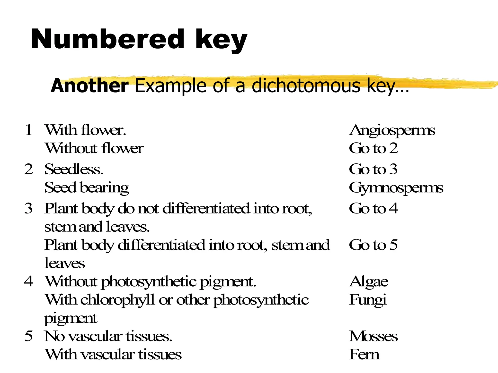 Dichotomous key presentation suitable for IGCSE Biology level | PPT ...
