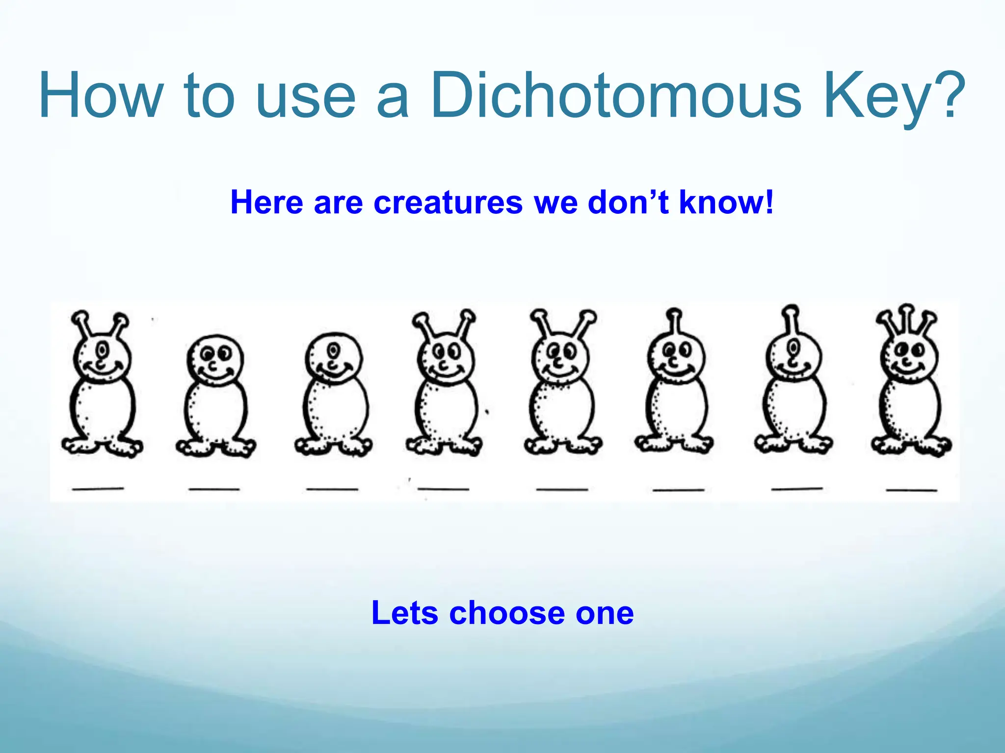 Dichotomous key presentation suitable for IGCSE Biology level | PPT ...