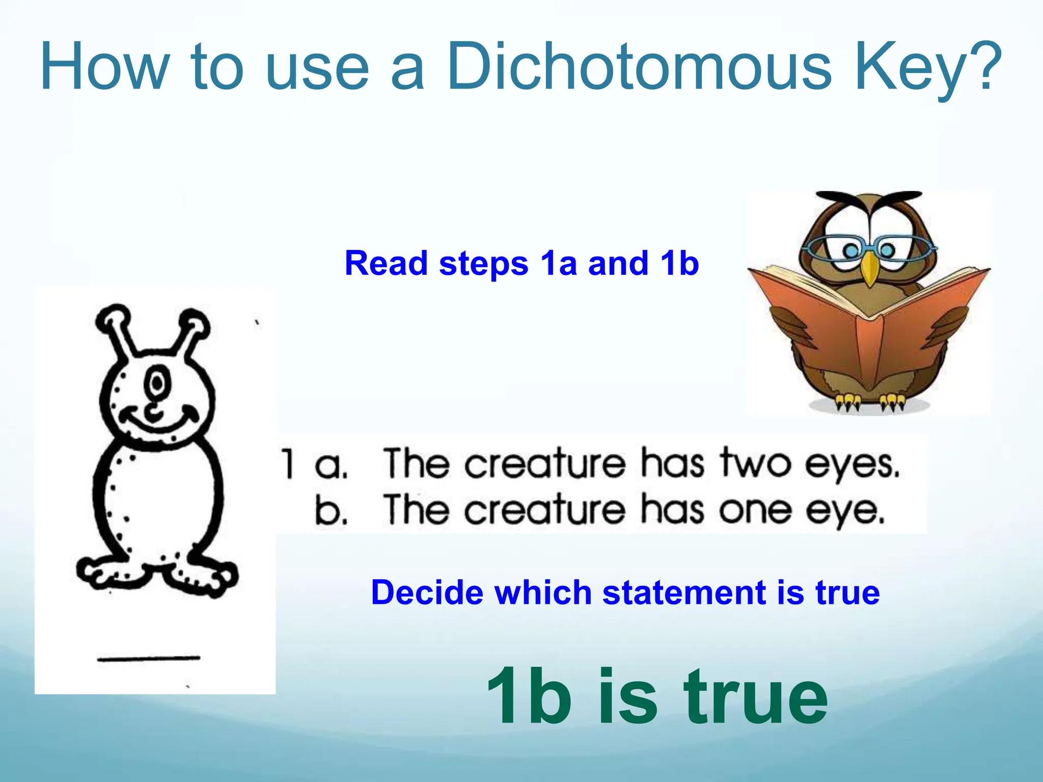 Dichotomous key presentation suitable for IGCSE Biology level | PPT