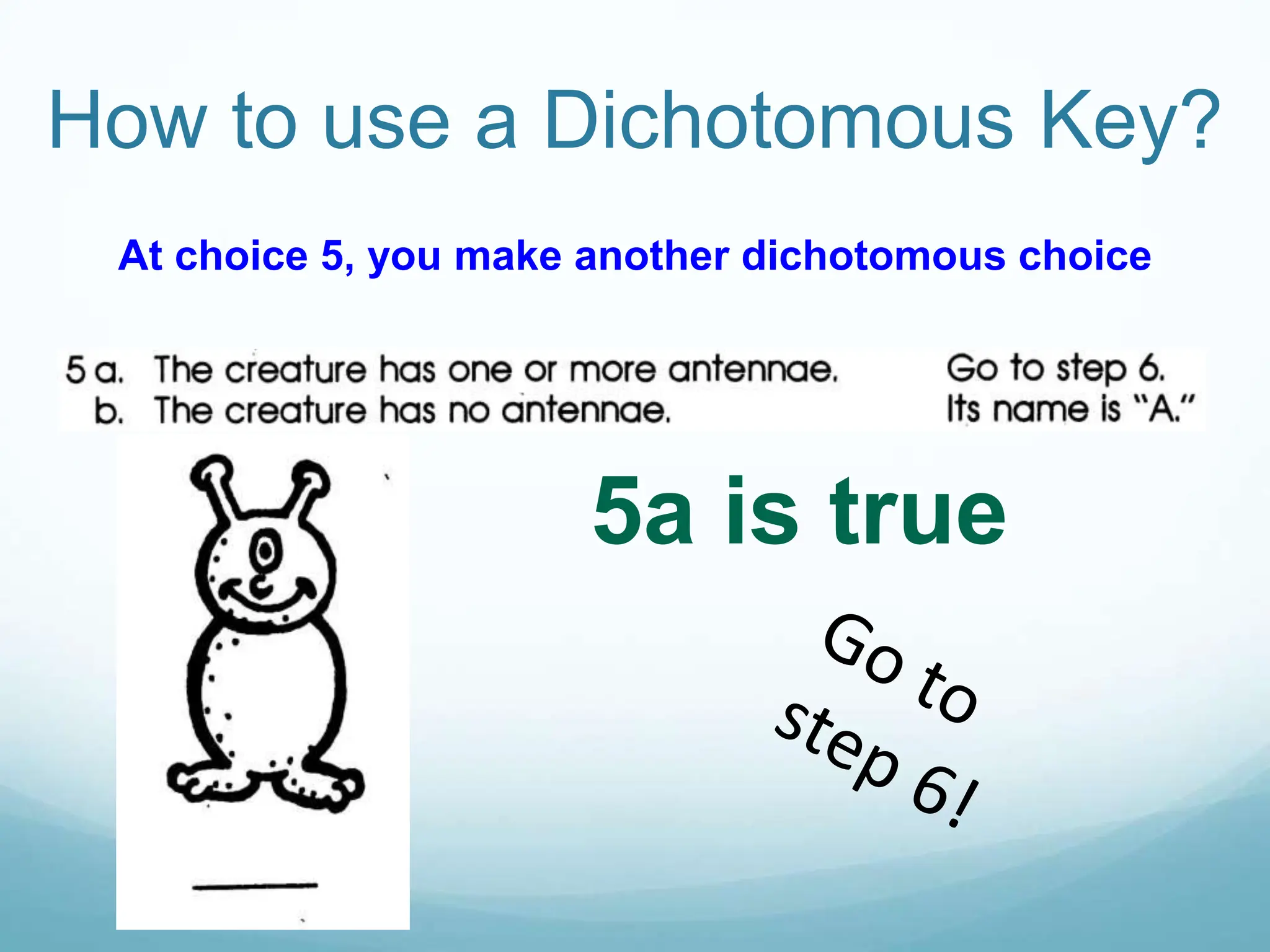 Dichotomous key presentation suitable for IGCSE Biology level | PPT