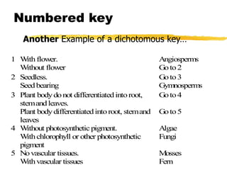 Dichotomous key presentation suitable for IGCSE Biology level | PPT