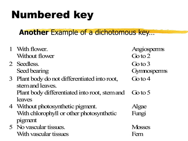Dichotomous key presentation suitable for IGCSE Biology level | PPT ...