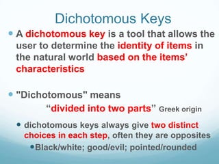 Dichotomous key presentation suitable for IGCSE Biology level | PPT