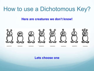 Dichotomous key presentation suitable for IGCSE Biology level | PPT