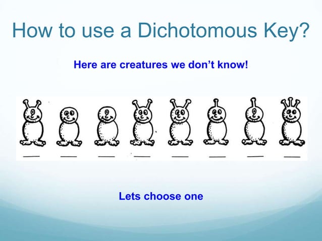 Dichotomous key presentation suitable for IGCSE Biology level | PPT ...
