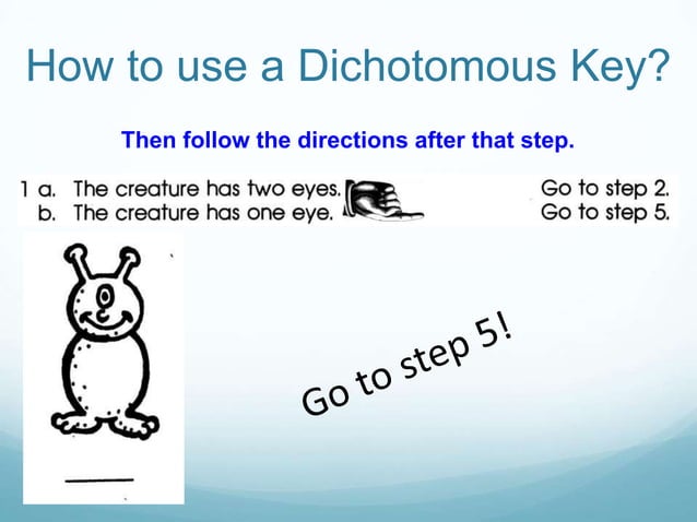 Dichotomous key presentation suitable for IGCSE Biology level | PPT ...