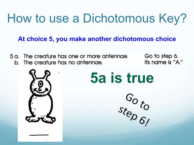 Dichotomous key presentation suitable for IGCSE Biology level | PPT ...