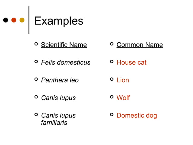 Dichotomous Key and intro notes of living thing.ppt
