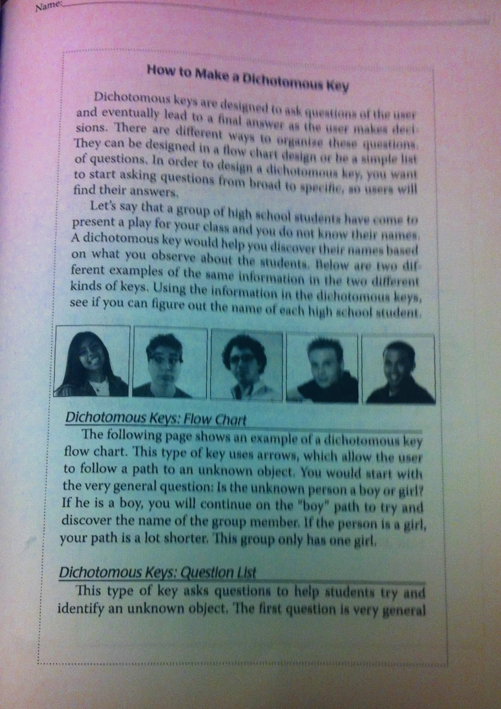 Dichotomous key instructions | PDF