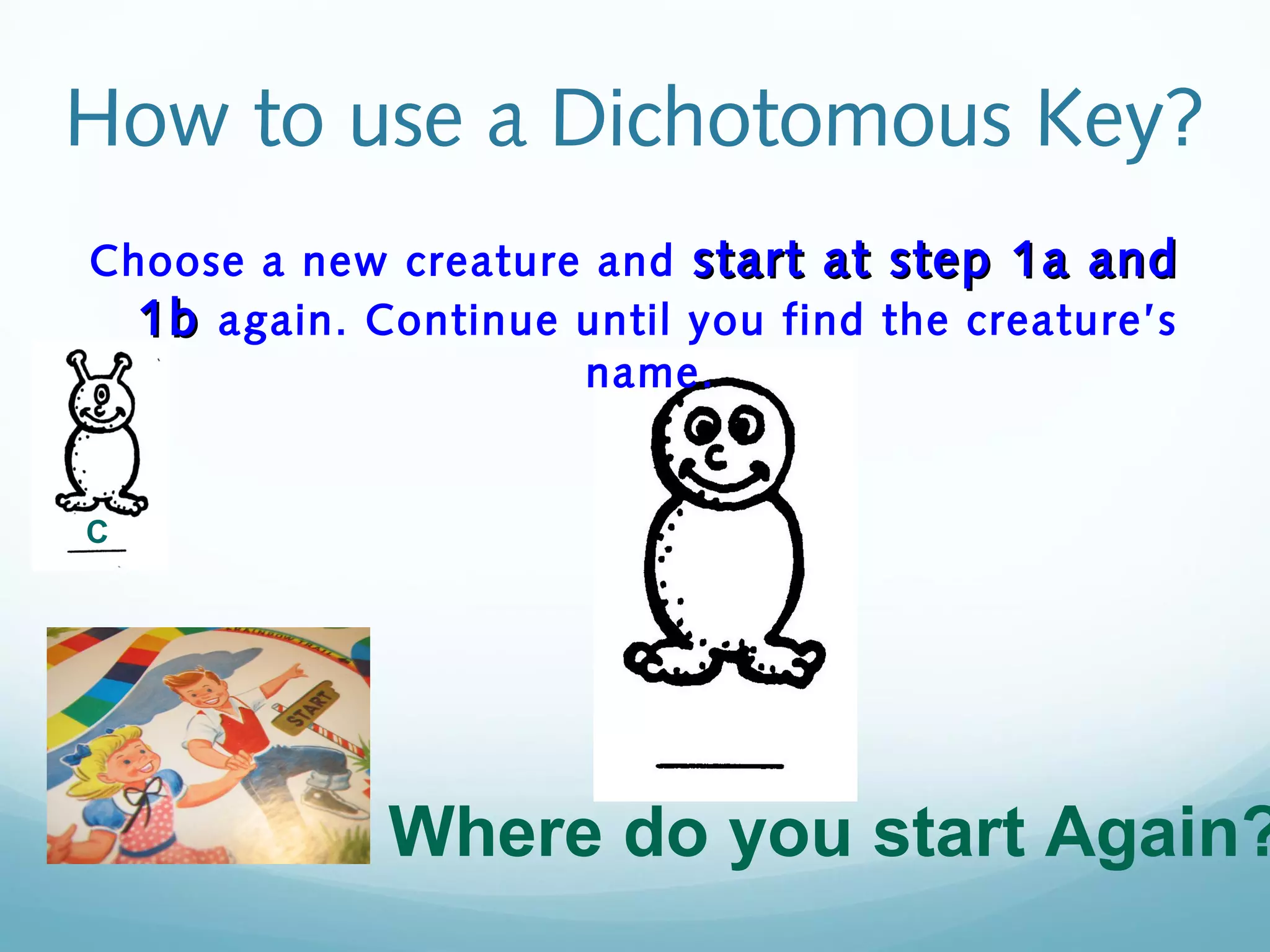 1.4 Dichotomous Key Presentation | PPT