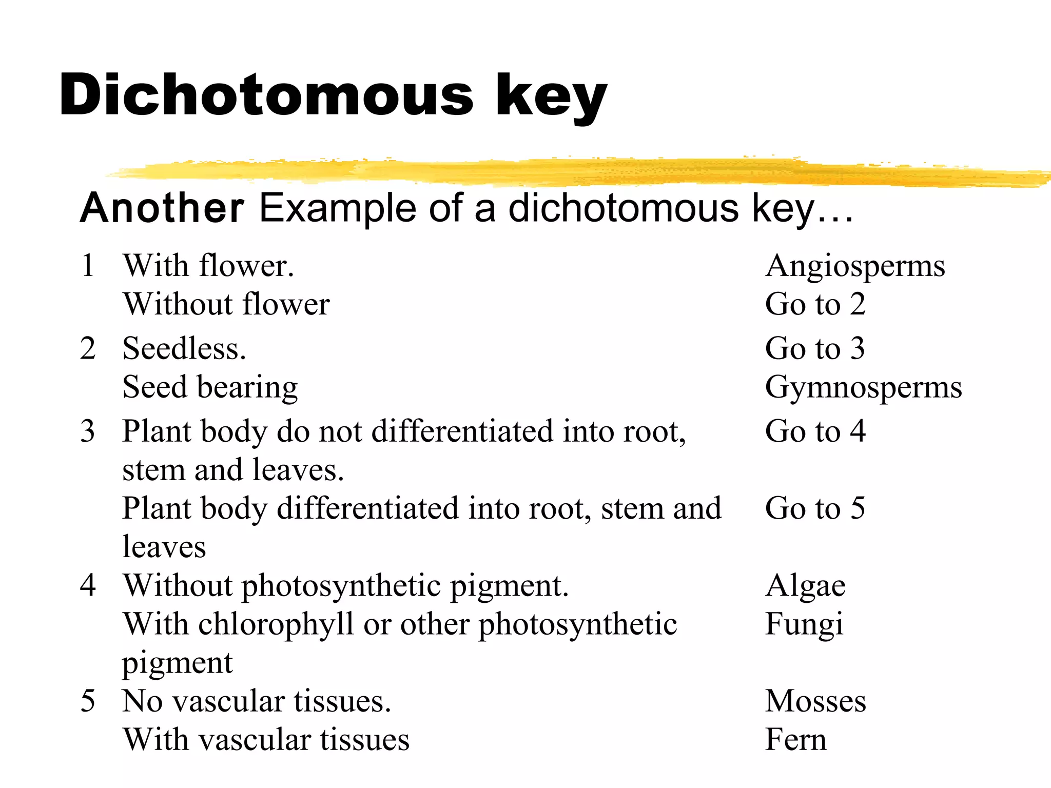 1.4 Dichotomous Key Presentation | PPT | Gardening | Home & Garden