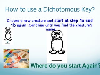 1.4 Dichotomous Key Presentation | PPT | Gardening | Home & Garden