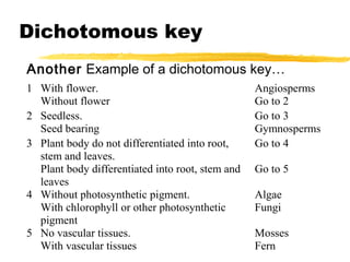 1.4 Dichotomous Key Presentation | PPT | Gardening | Home & Garden