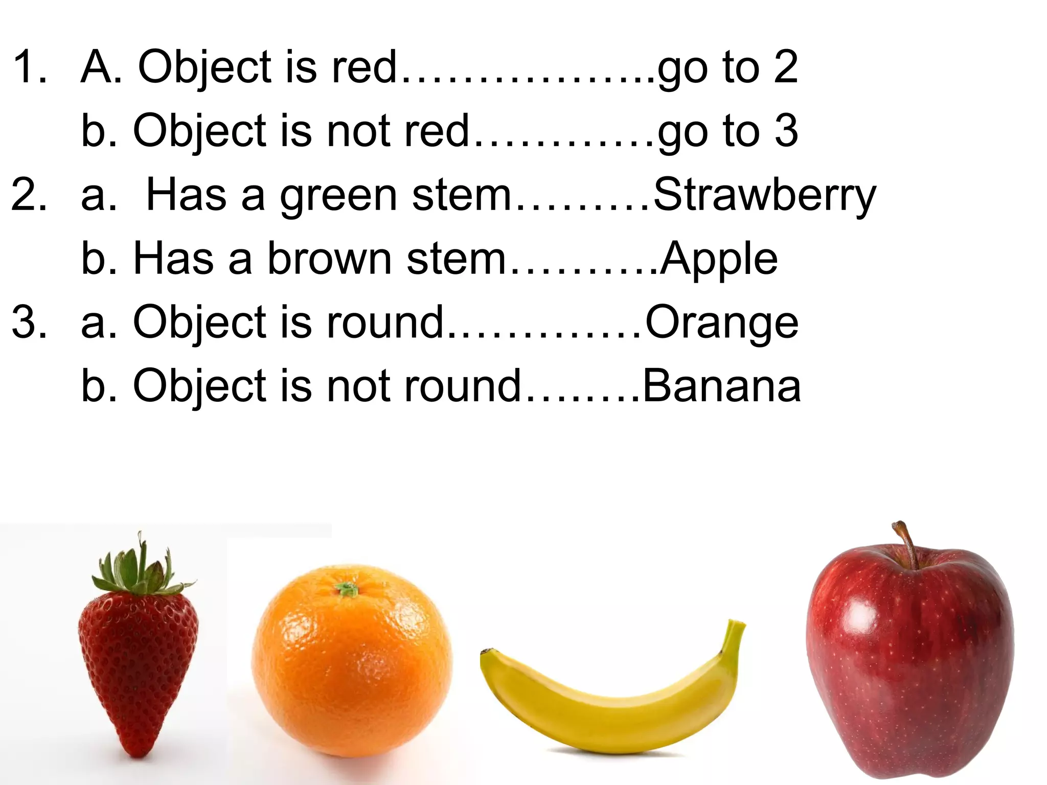 Dichotomous keys | PPT