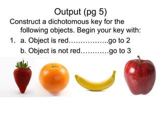 Dichotomous keys | PPT